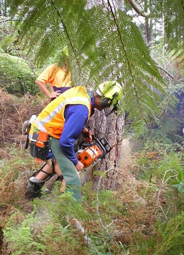 Forestry Training | Forestry courses | Chainsaw safety course | Quad safety