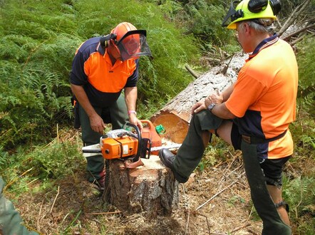 Forestry Training | Forestry courses | Chainsaw safety course | Quad safety